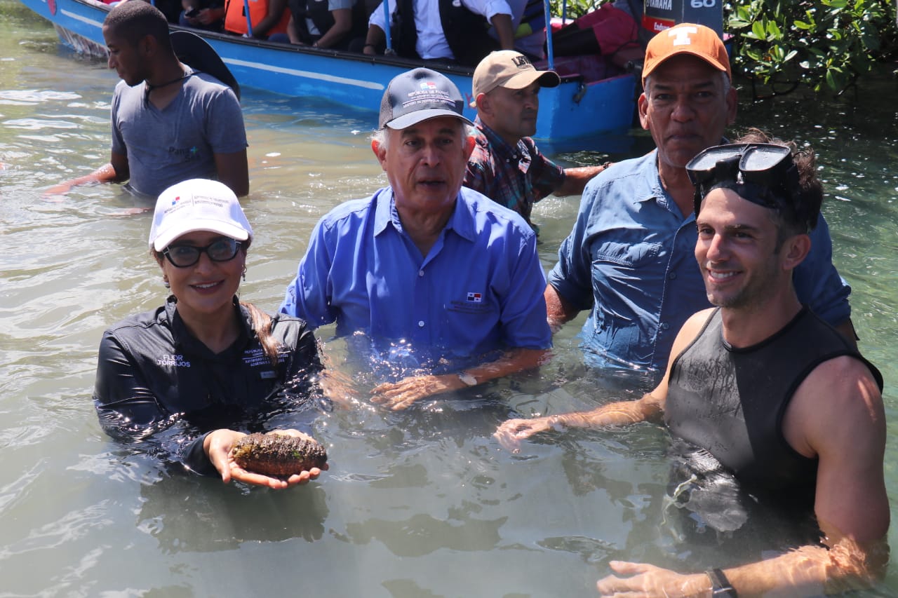 Bajo liderazgo de la ARAP, Panamá con la primera cosecha de pepino de ...