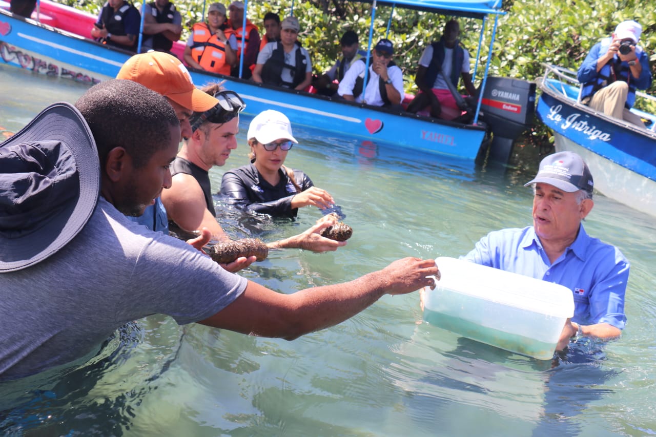 Bajo liderazgo de la ARAP, Panamá con la primera cosecha de pepino de ...